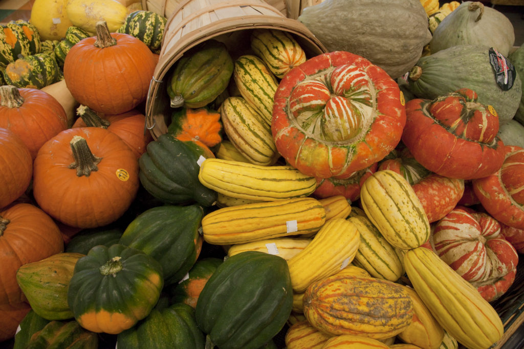 What do I do with … winter squash? | News, Sports, Jobs - Lawrence ...
